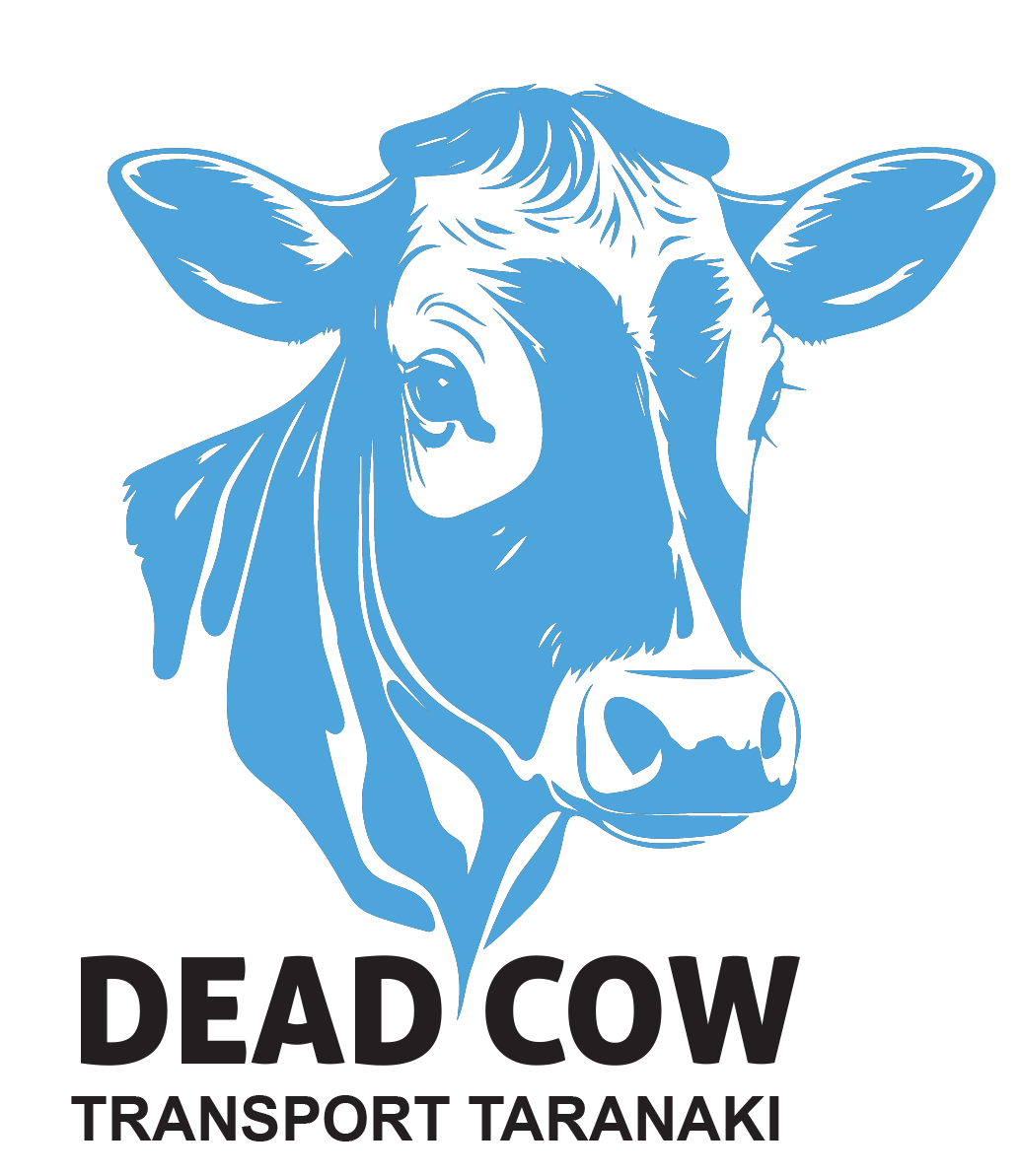 Shop - Dead Cow
